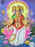 [142+] Maa Gayatri Images, Photos & Wallpaper Free Download